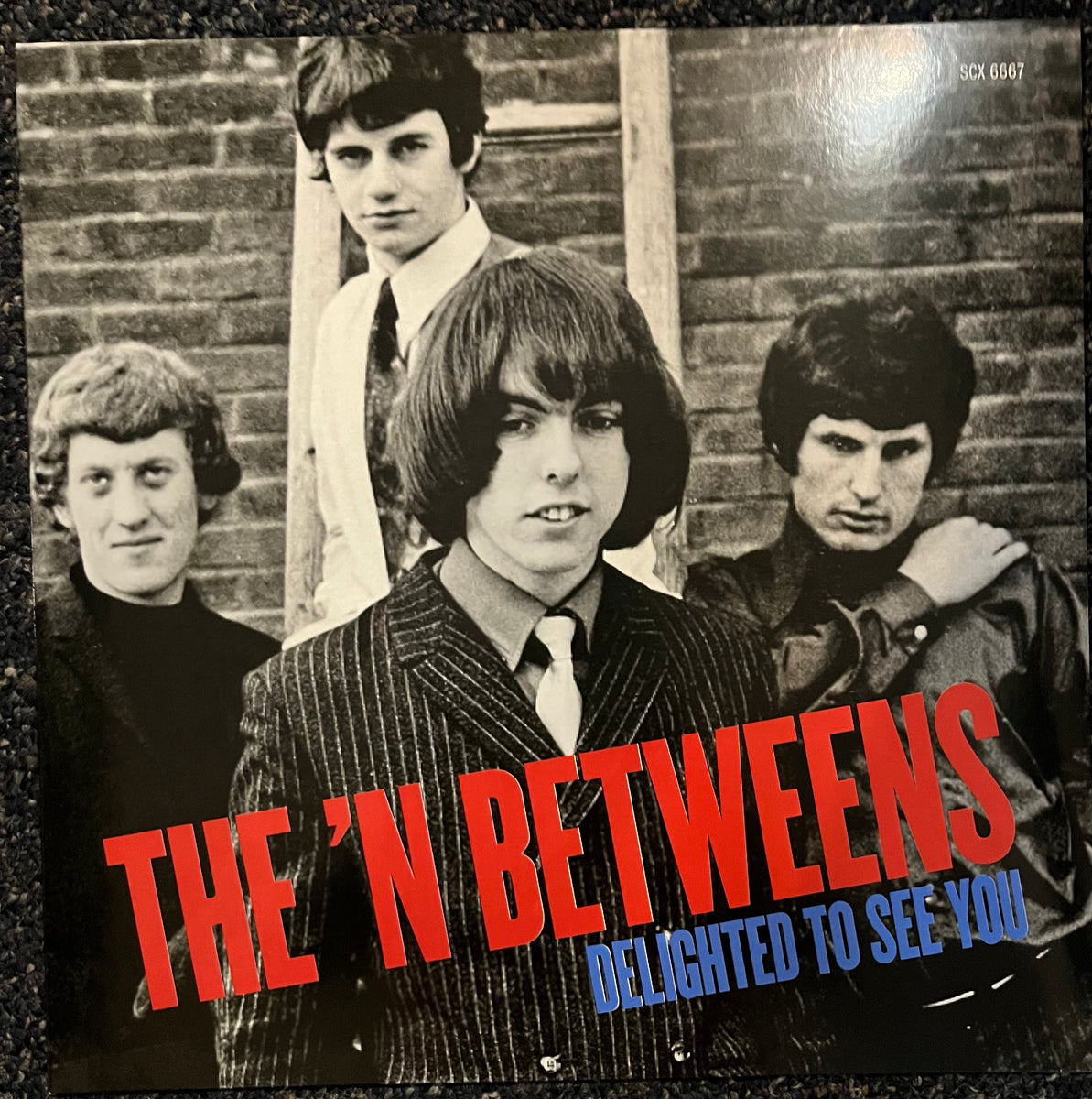 The N'Betweens - Delighted To See You LP – Goner Records