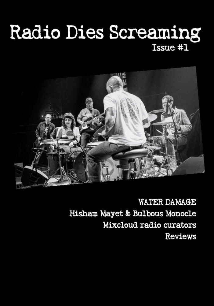 Radio Dies Screaming #1 zine – Goner Records